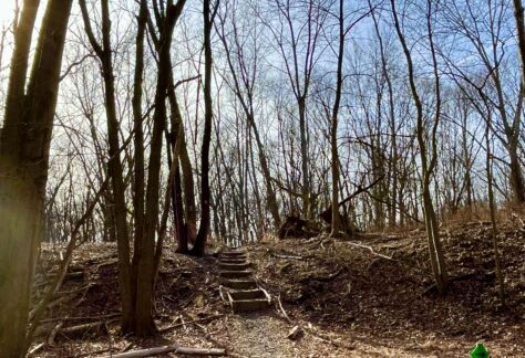 Demarest Nature Center